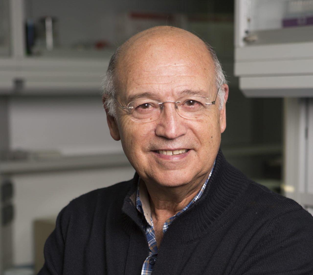 Ángel Gil, Presidente de la FINUT, segundo español que logra el premio ...