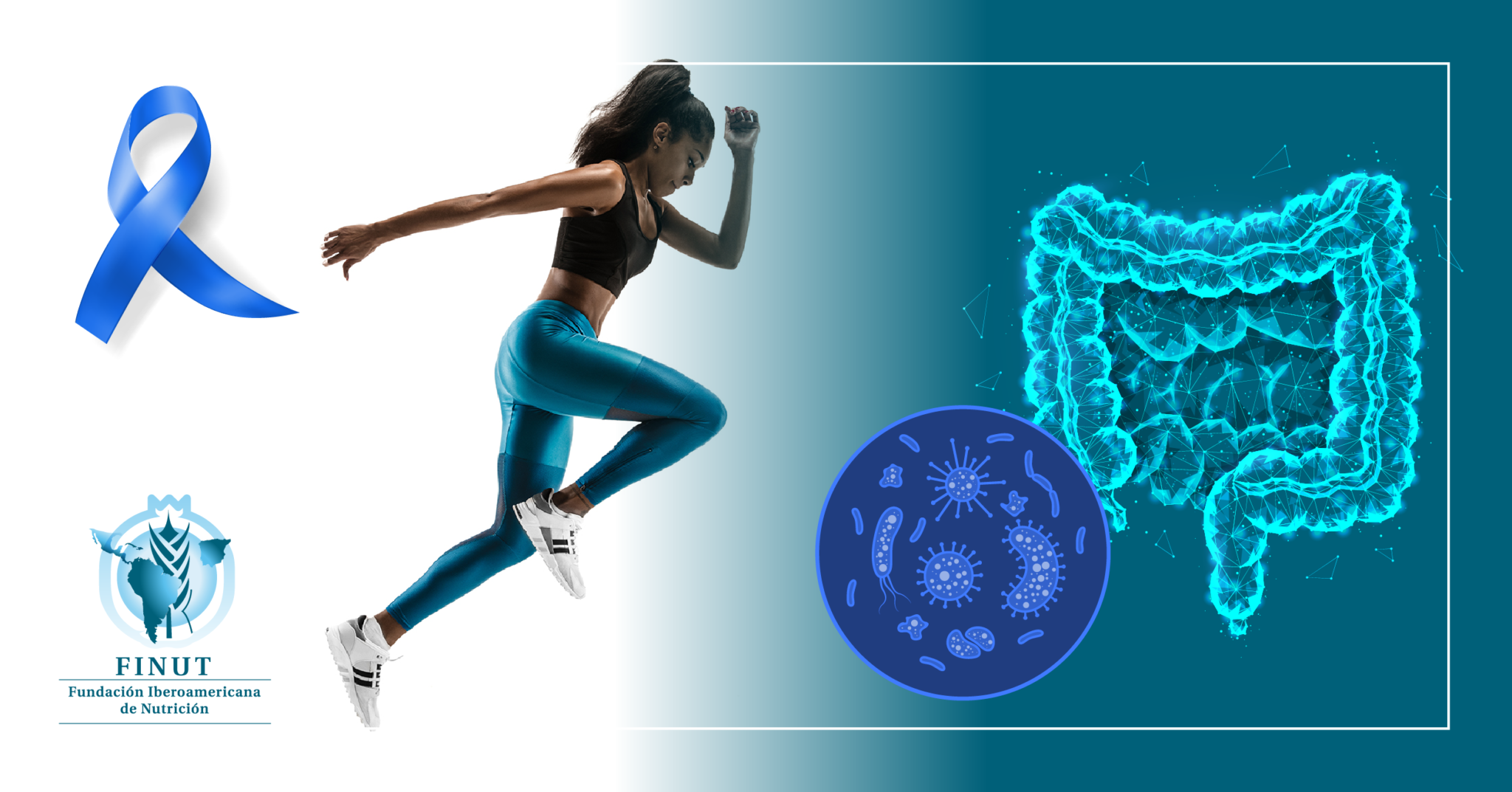 El ejercicio, la microbiota intestinal humana y el cáncer colorrectal ...