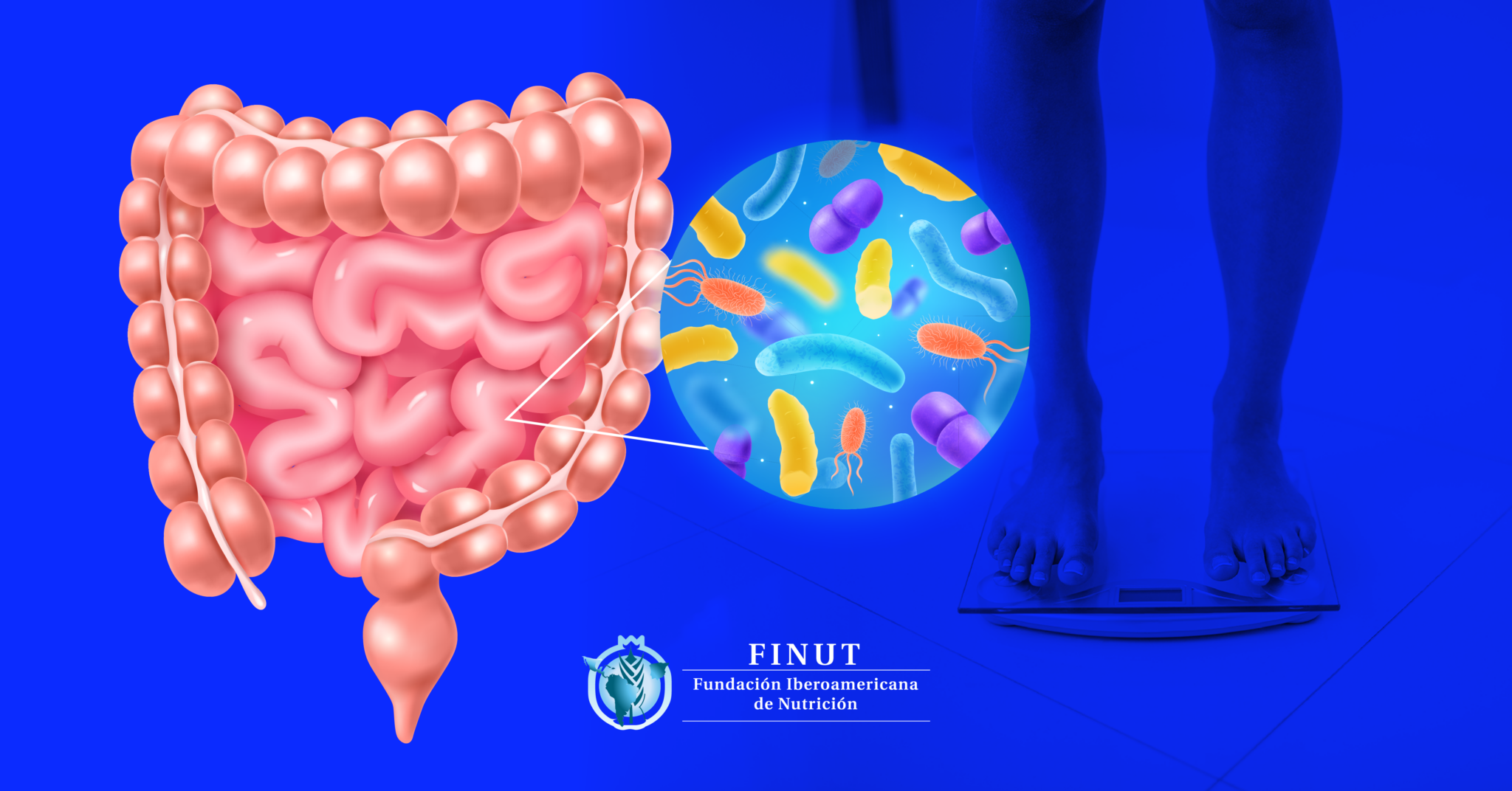 ¿Qué relación tiene el microbioma intestinal con el control del peso ...